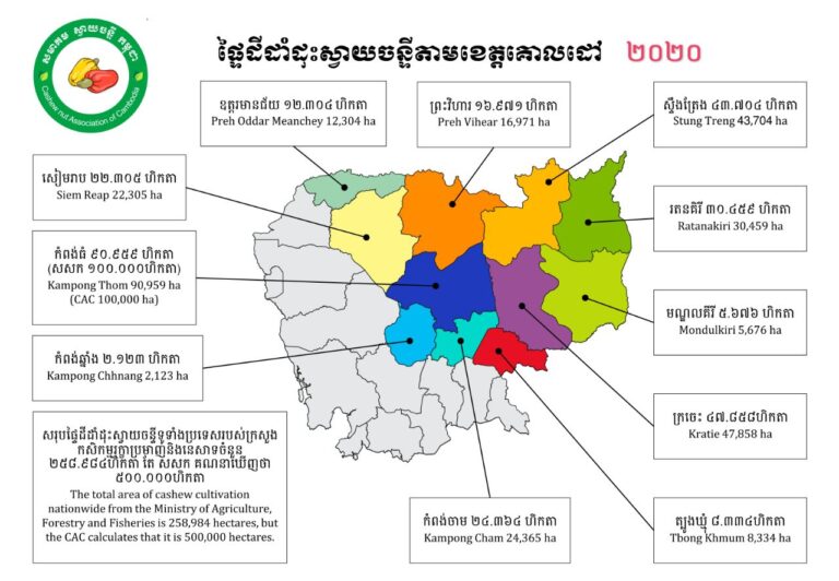 Background of CAC | CAC